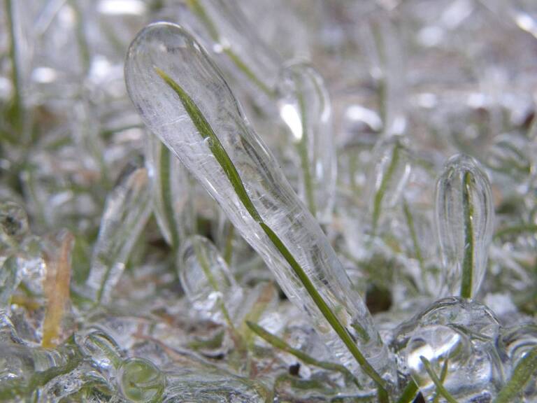 Hoar Frost vs. Rime Ice: What’s the Difference? | Climavision