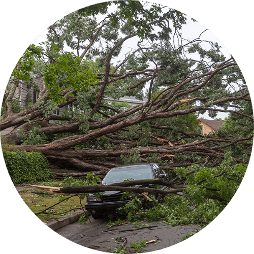 Advanced Weather Data for Government Agencies | Climavision